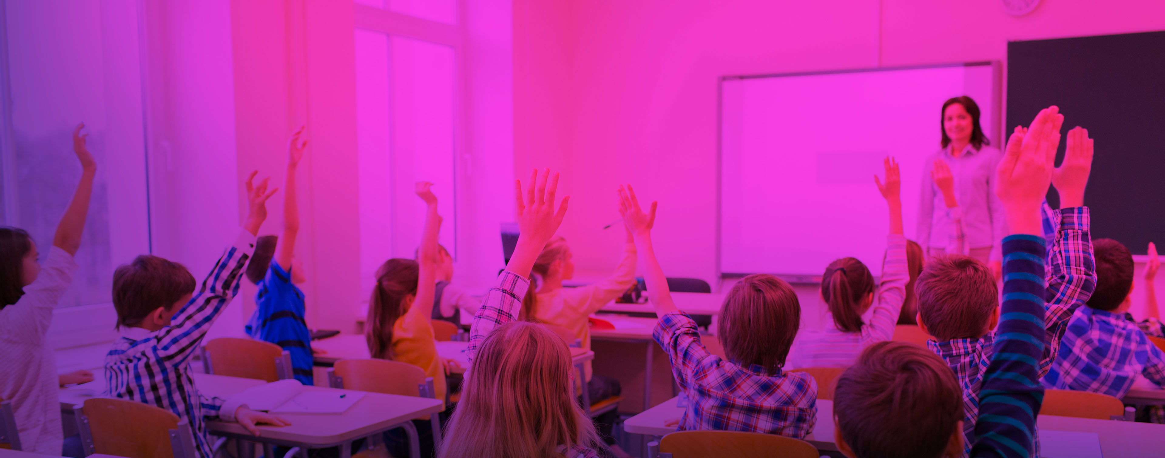 Bringing goIT to Houston with Halliburton| TCS Empowers