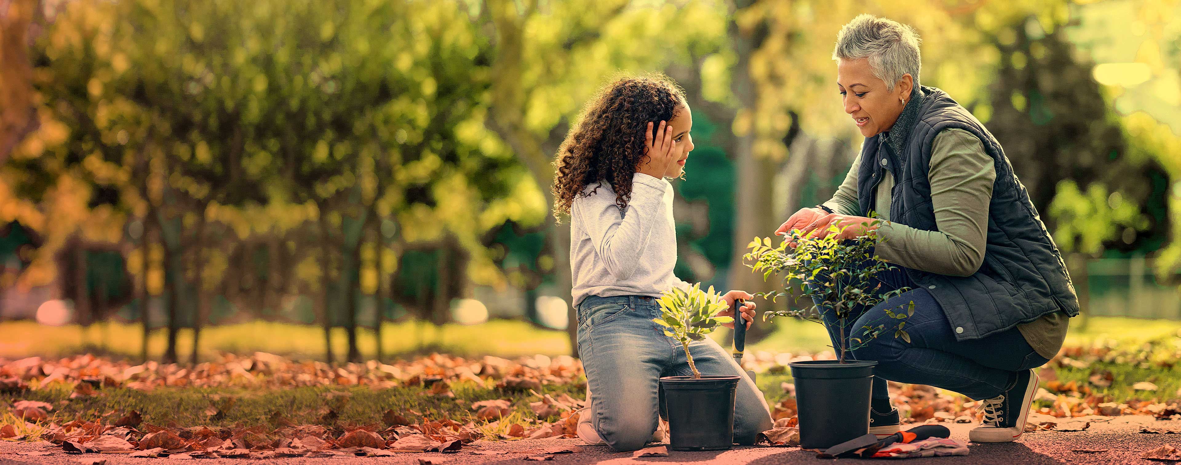 Accelerating the Green Transition with a Robust Sustainability Agenda