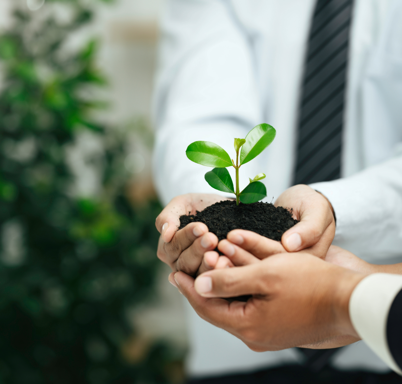 Sustainability: The Evolution Driving Business Growth