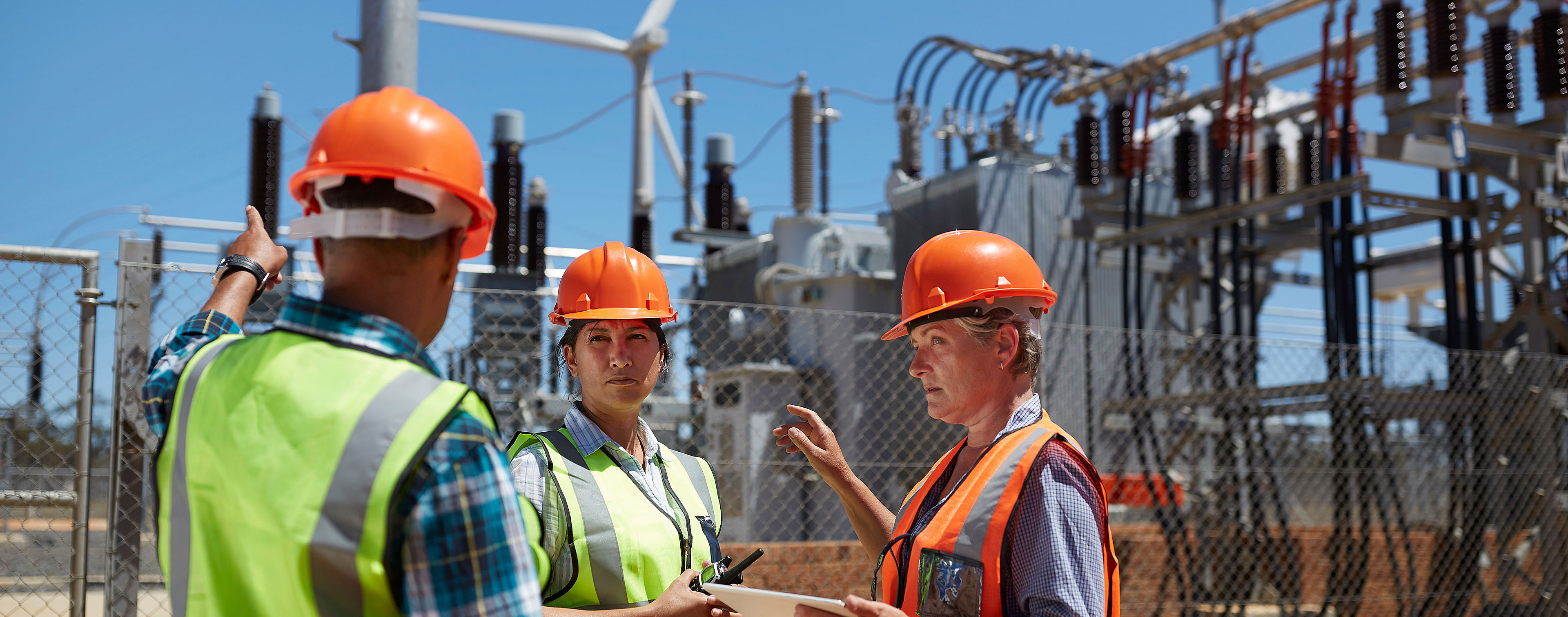Ecosystem Modeling in a Digitally Simulated Electricity Market