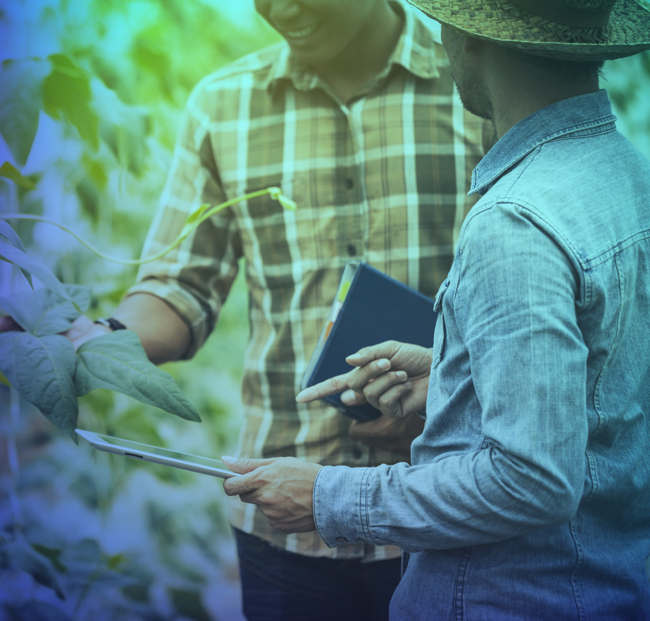 TCS' Mainframe Modernization Services for AWS