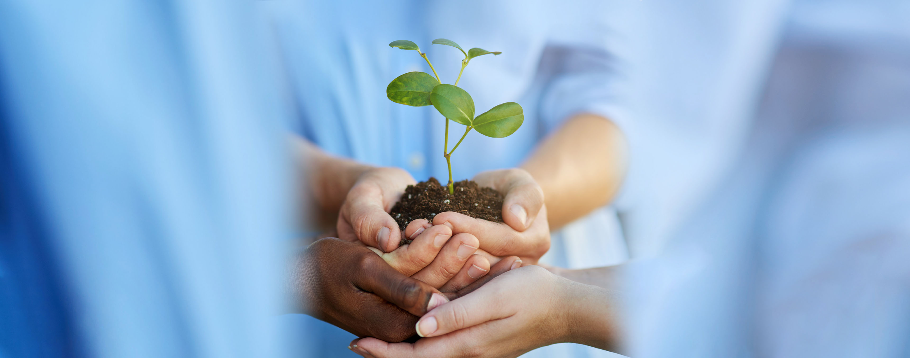 TCS Recognized Among Sustainability Leaders in the Dow Jones ...