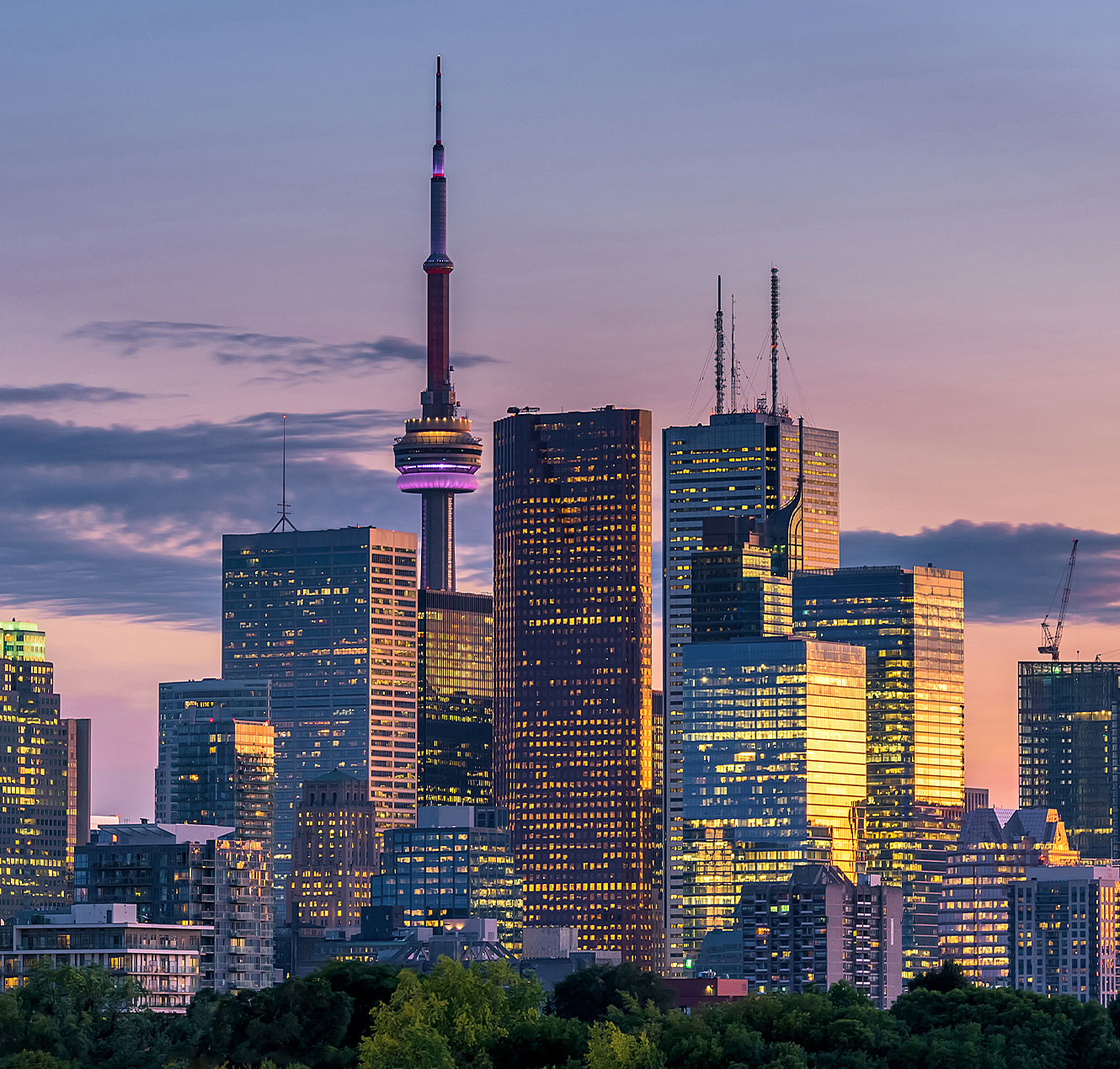 TCS Pace Port™ Toronto: Forging a Path of Innovation