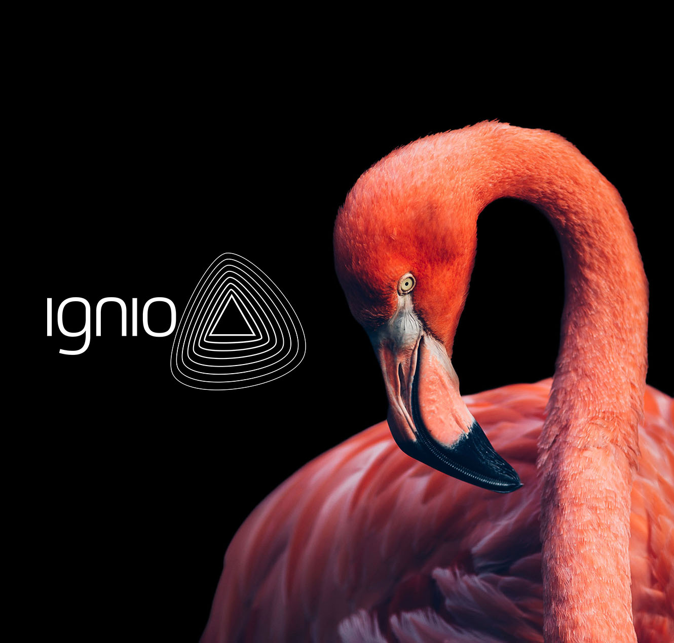 AIOpsプラットフォーム ignio™ - デジタルトランスフォーメーションサービス | 日本タタ・コンサルタンシー・サービシズ