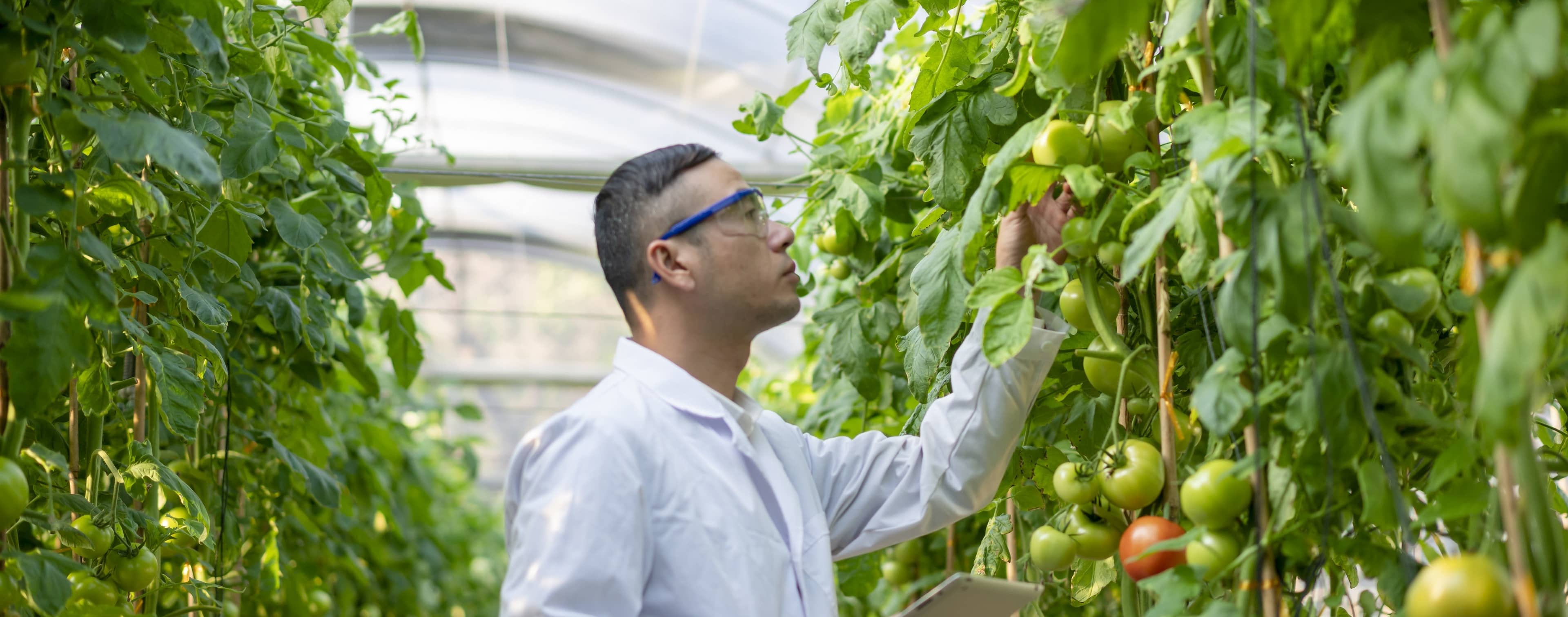 TCS Envirozone™ - IoT | 日本タタ・コンサルタンシー・サービシズ